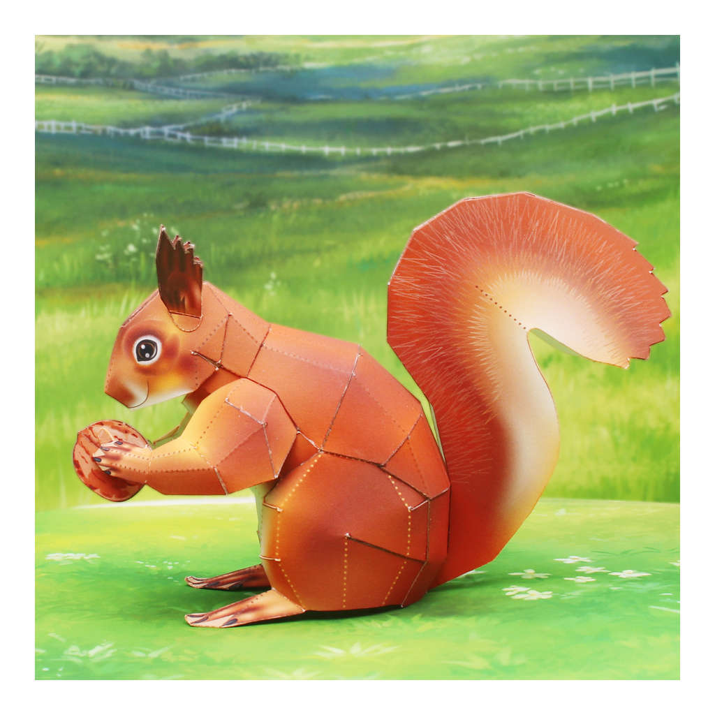 Mô hình giấy American Red Squirrel - Kit168.vn Shop Online mô hình giấy