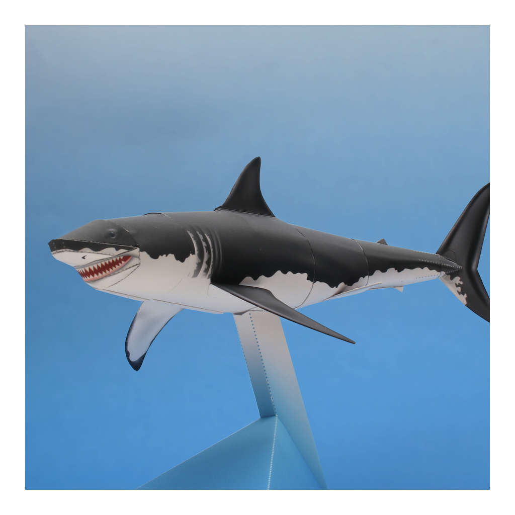 Mô hình giấy Cá mập trắng - Kit168.vn Shop Online mô hình giấy